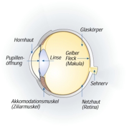 lexika – Optik-Otto